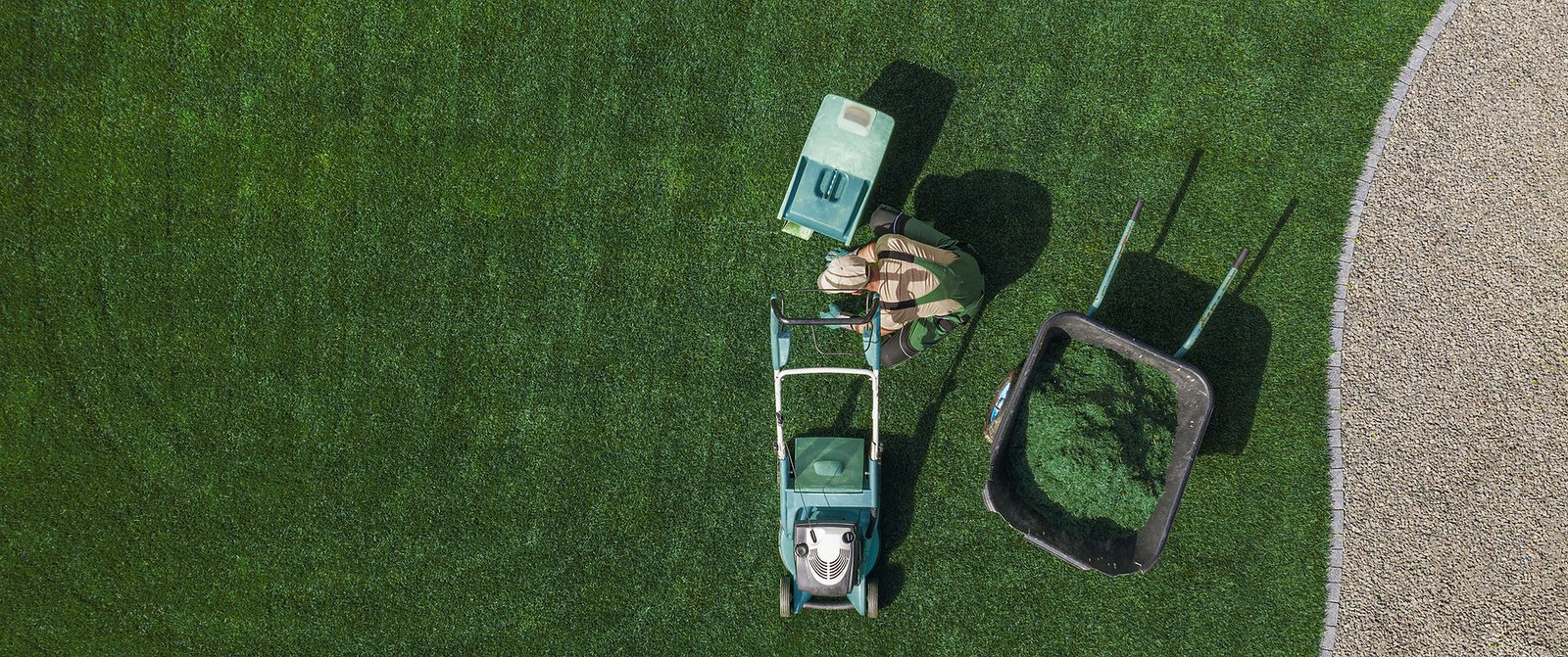 Affordable Residential and Commercial Lawn and Yard Maintenance ...